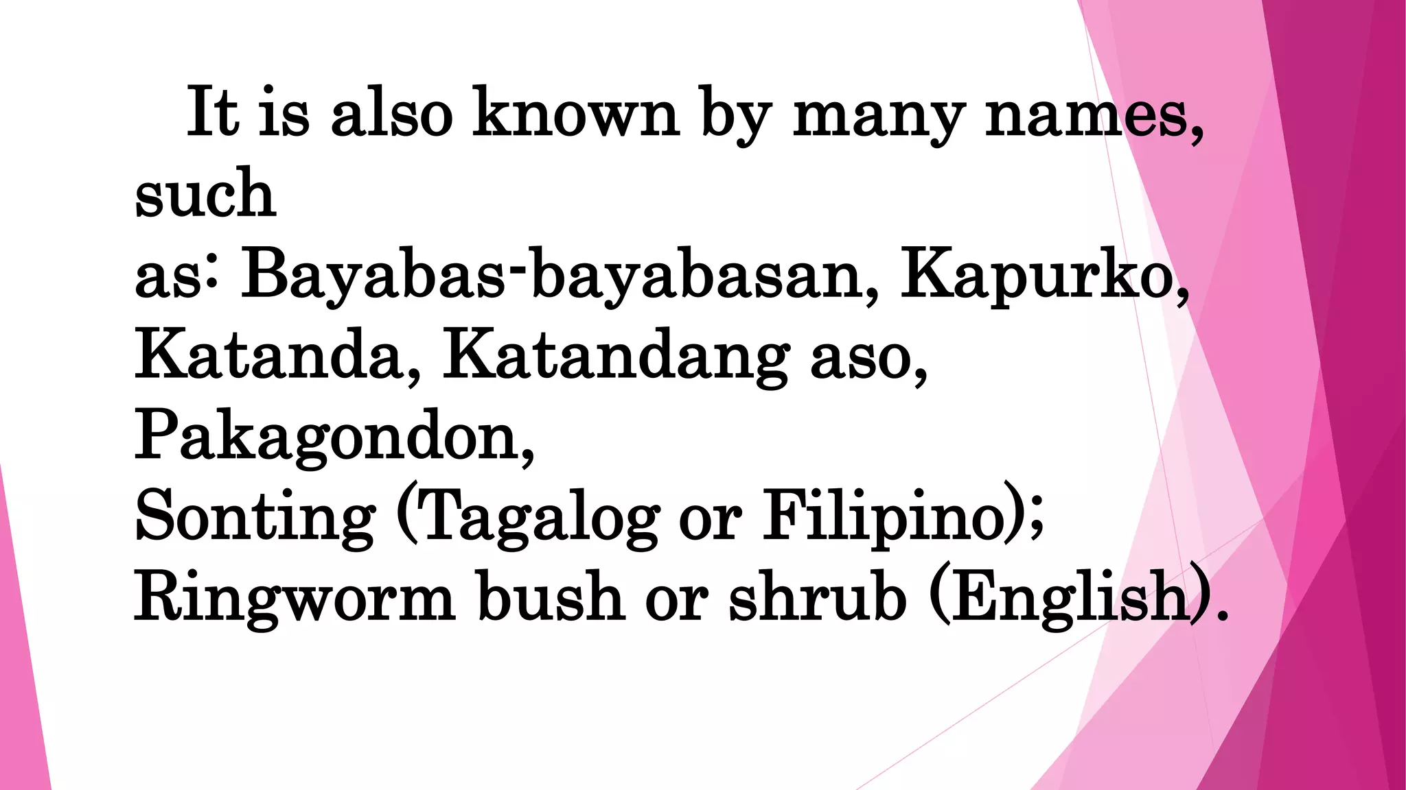 ALS-Herbal Medicine.pptx