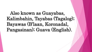 ALS-Herbal Medicine.pptx