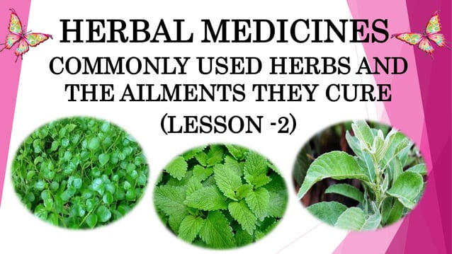 ALS-Herbal Medicine.pptx | Herbs and Supplements | Alternative Medicine