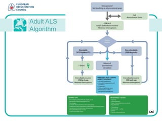 Presentation Advanced life support for adults | PPT