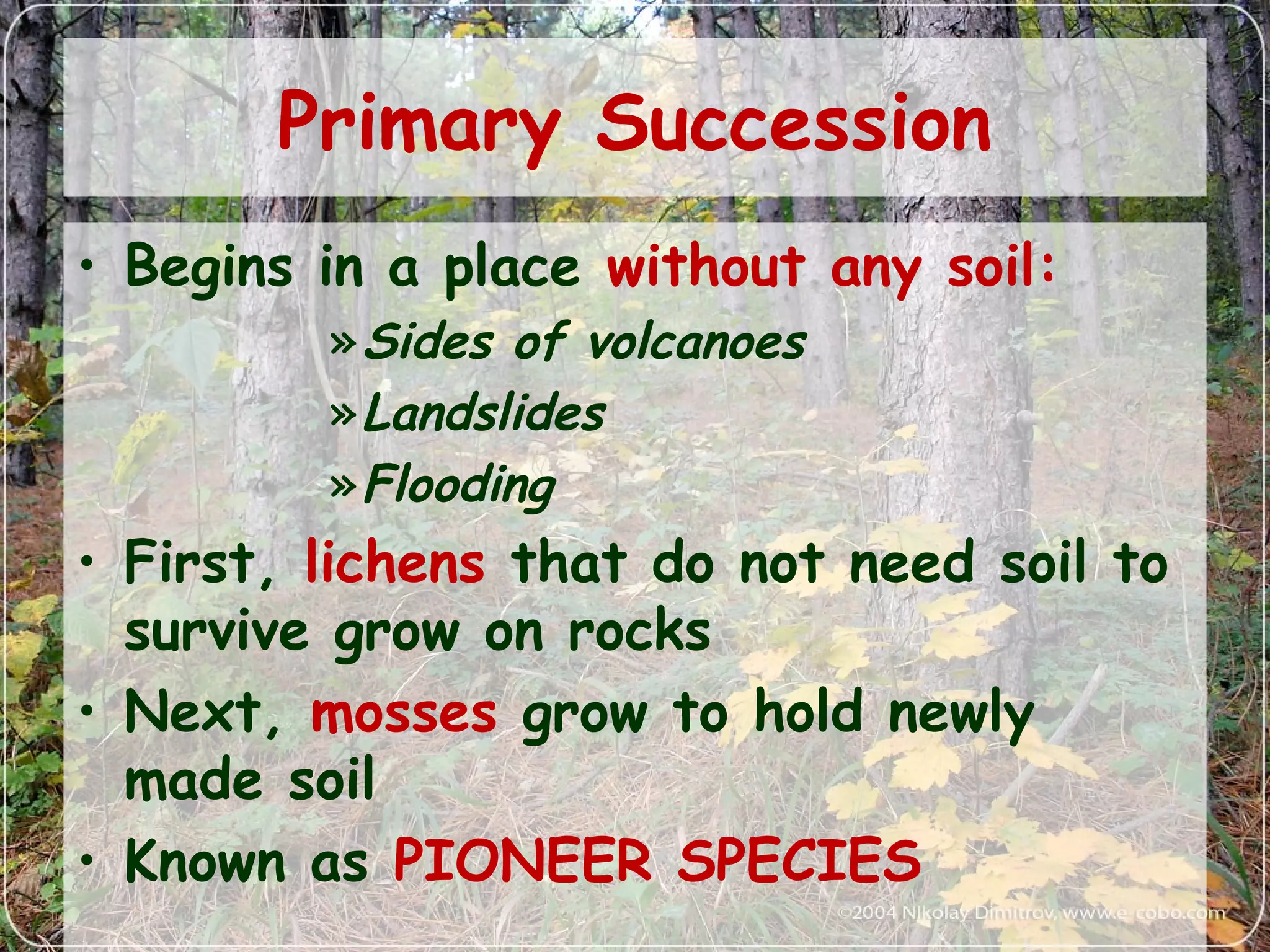 ecological succession | PPT