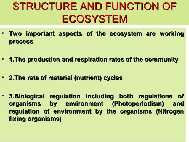 Ecosystem Definition Components Examples Structure