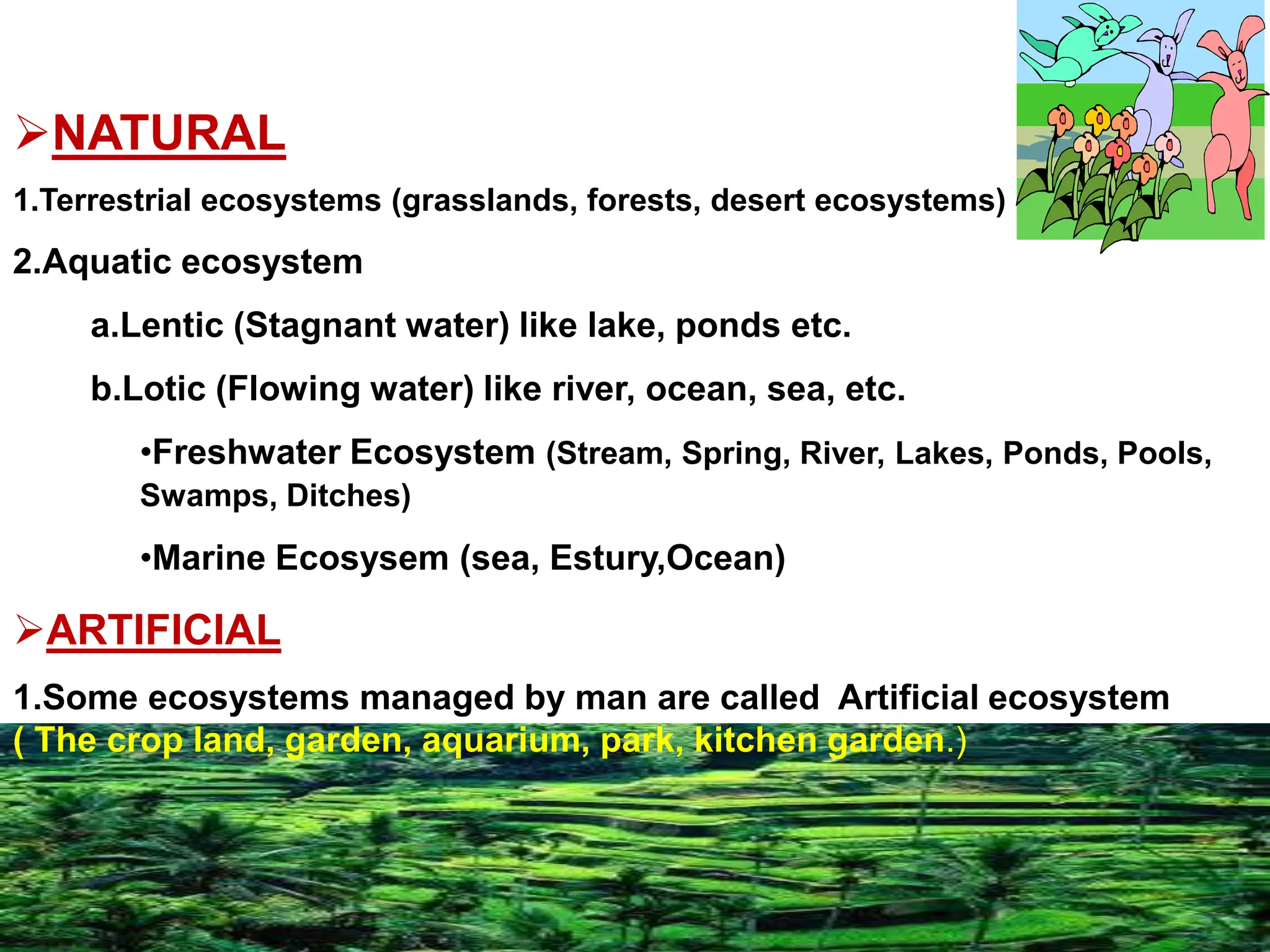ECOLOGICAL SYSTEM | PPT