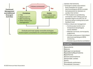ALS Algorithm update 2020.pptx