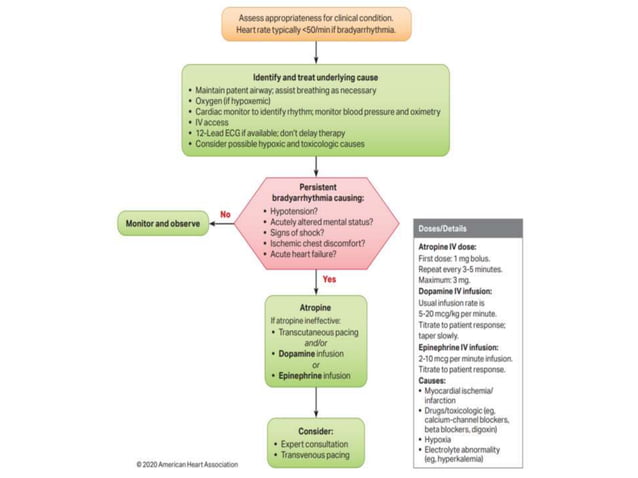 ALS Algorithm update 2020.pptx