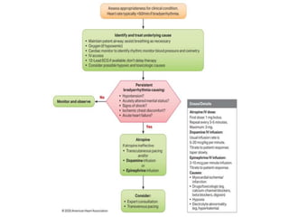 ALS Algorithm update 2020.pptx