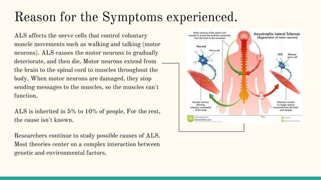 ALS ( Amyotrophic Lateral Sclerosis) / Lou Gehrig's Disease | PPTX