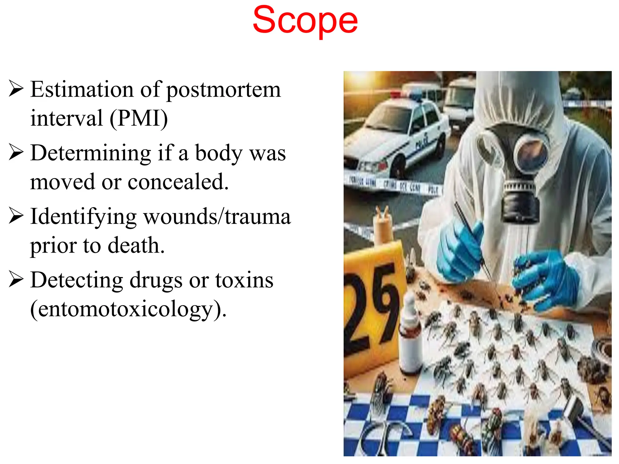 FORENSIC ENTOMOLOGY By Alhassan Ali Muhammad | PDF