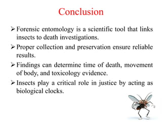 FORENSIC ENTOMOLOGY By Alhassan Ali Muhammad | PDF