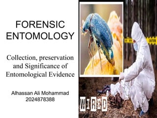 FORENSIC ENTOMOLOGY By Alhassan Ali Muhammad | PDF