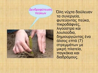 Πλατεία "Ευαγγελικής Σχολής Σμύρνης" (Άλσος μιας νυχτός) | PPT