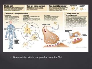 Als presentation | PPT