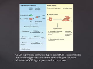 Als presentation | PPT