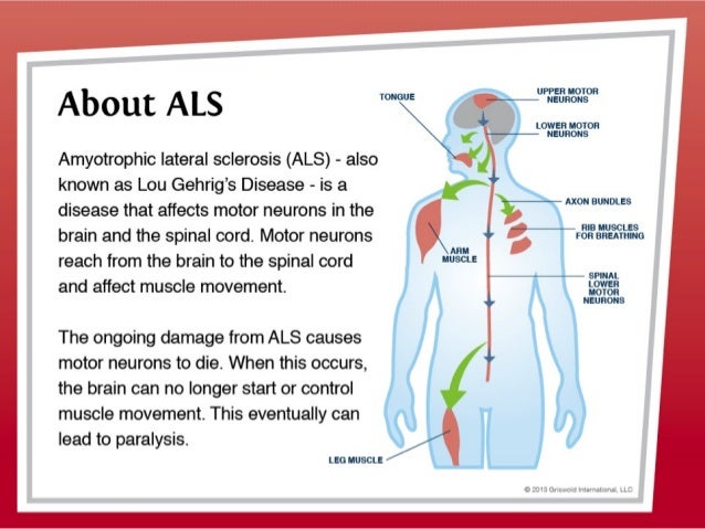 Fighting ALS from the Beginning