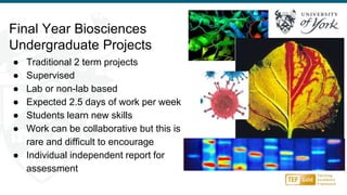 Facilitating peer-led group research | PPT