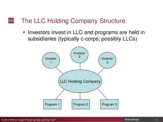 Alternative Structures for Life Sciences Companies: The LLC Holding C…