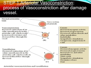 Perioperative bleeding and Hemostasis | PPTX
