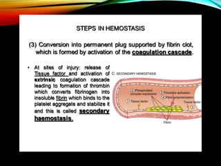 Perioperative bleeding and Hemostasis | PPTX