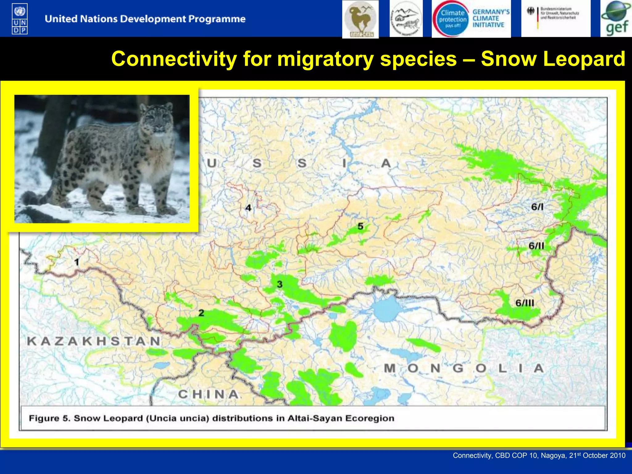 Altai Sayan Ecoregion: Connectivity in a changing climate (UNDP ...