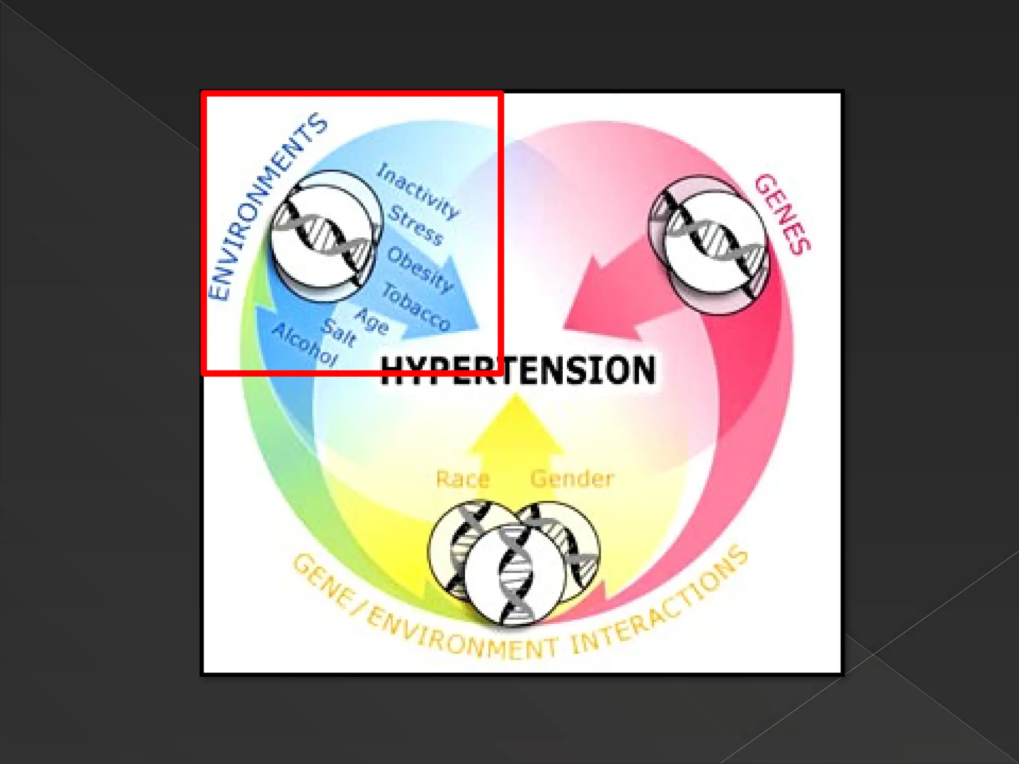 Altapresyon - a discussion about hypetension | PPTX