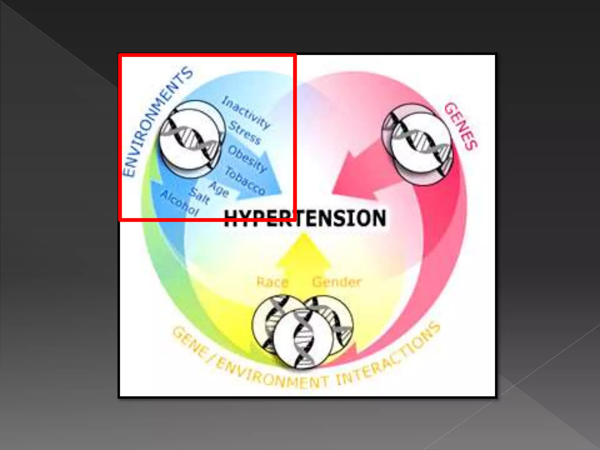 Altapresyon | PPTX