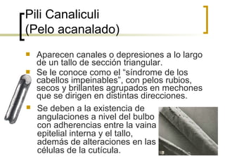 Alteraciones Estructurales Del Tallo Capilar | PPT