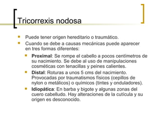 Alteraciones Estructurales Del Tallo Capilar | PPT