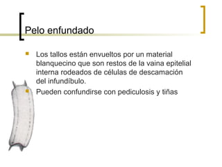 Alteraciones Estructurales Del Tallo Capilar | PPT