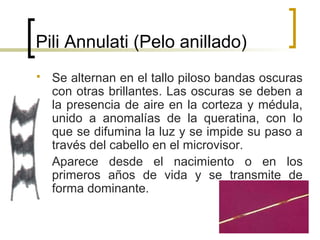 Alteraciones Estructurales Del Tallo Capilar | PPT