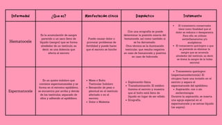 Alteraciones congénitas y adquiridas del aparato reproductor masculina ...