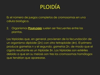 ALTERACIONES_CROMOSOMICAS .pdf