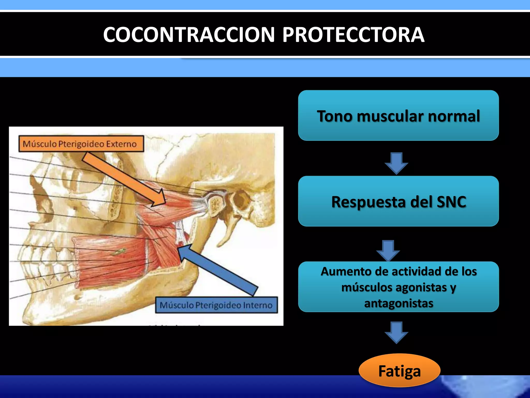 Alteraciones de la articulacion temporomandibular ATM | PDF