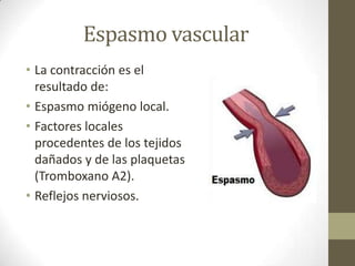 Alteraciones de la coagulación en pediatría | PPTX