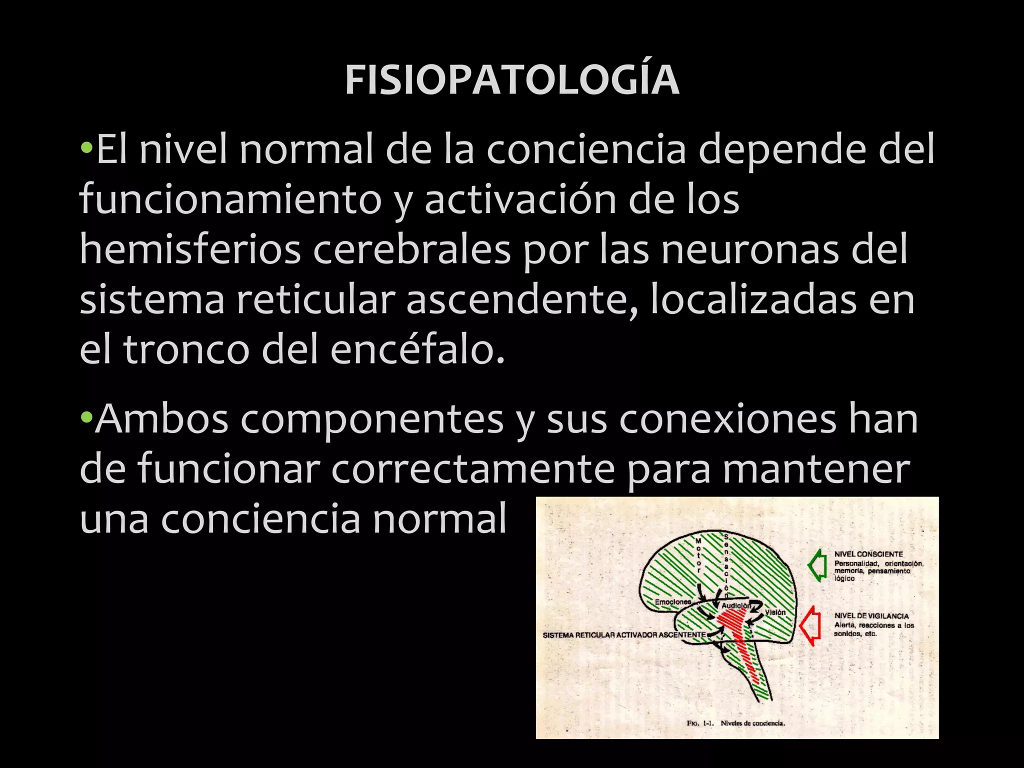 Alteraciones de la conciencia estupor y coma | PPT