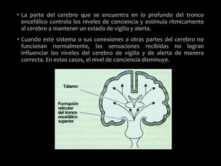Alteraciones de la conciencia estupor y coma | PPT