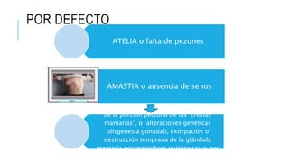 alteraciones de la mama.pptx
