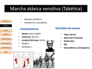 Marcha Atáxica