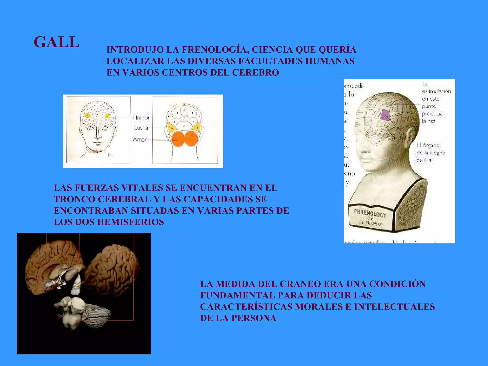 Alteraciones de la psicomotricidad | PPT