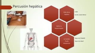 Matidez en la percusión abdominal normal y anormal | PPTX