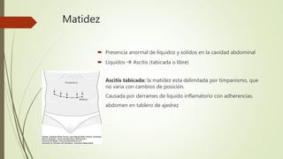 Matidez en la percusión abdominal normal y anormal | PPTX
