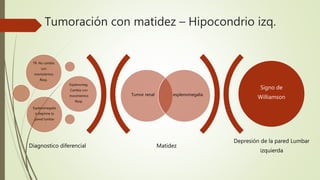 Matidez en la percusión abdominal normal y anormal | PPTX