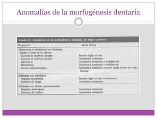 Alteraciones de los dientes | PPTX