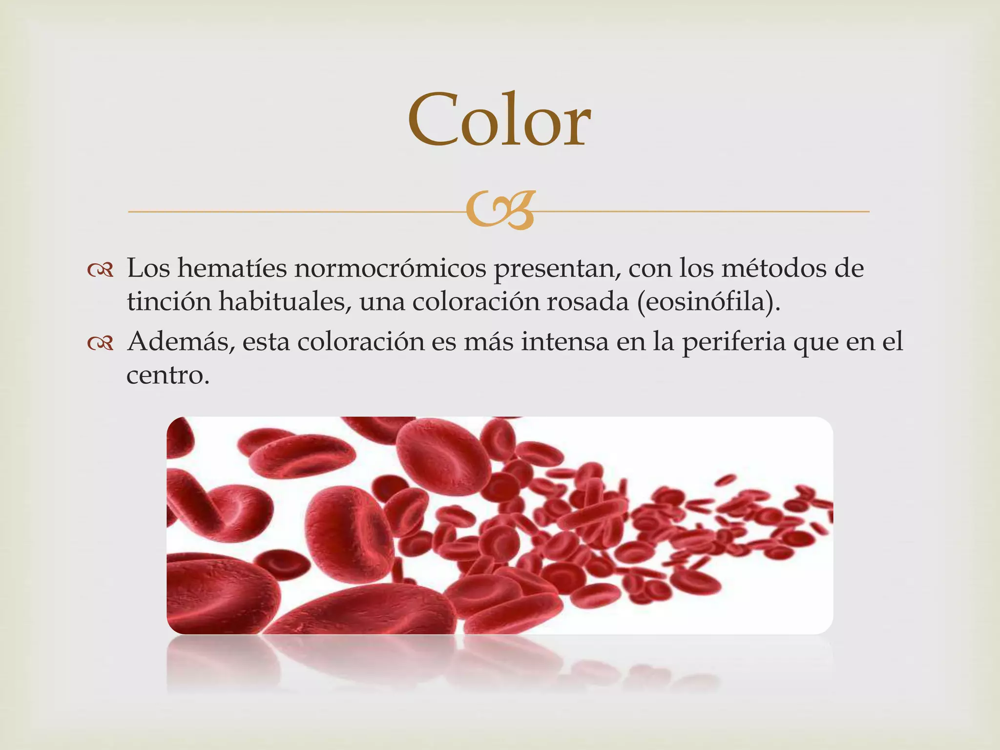 Alteraciones de los eritrocitos | PPTX | Blood Disorders | Diseases and ...
