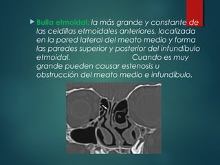 ALTERACIONES DE SENOS PARANASALES-DR. OMAR GONZALES SUAZO | PPT