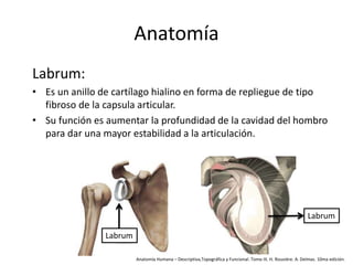 ALTERACIONES GELNOIDEAS .pptx
