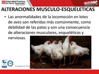 ALTERACIONES METABOLICAS DE LAS AVES 1.pptx