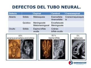 ALTERACIONES NEUROLOGICAS FETALES | PPT