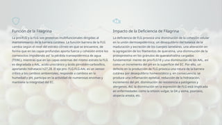 ALTERACIONES parte 2 barrera cutanea.pptx