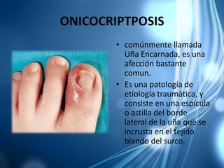 Alteraciones patologicas de pelo y uñas | PPTX