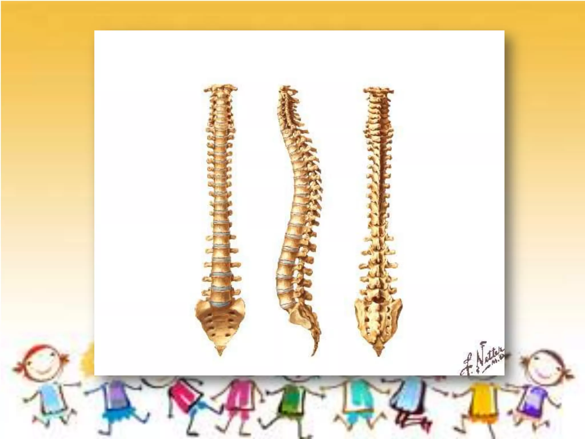 Alteraciones Posturales - Pediatría | PPTX
